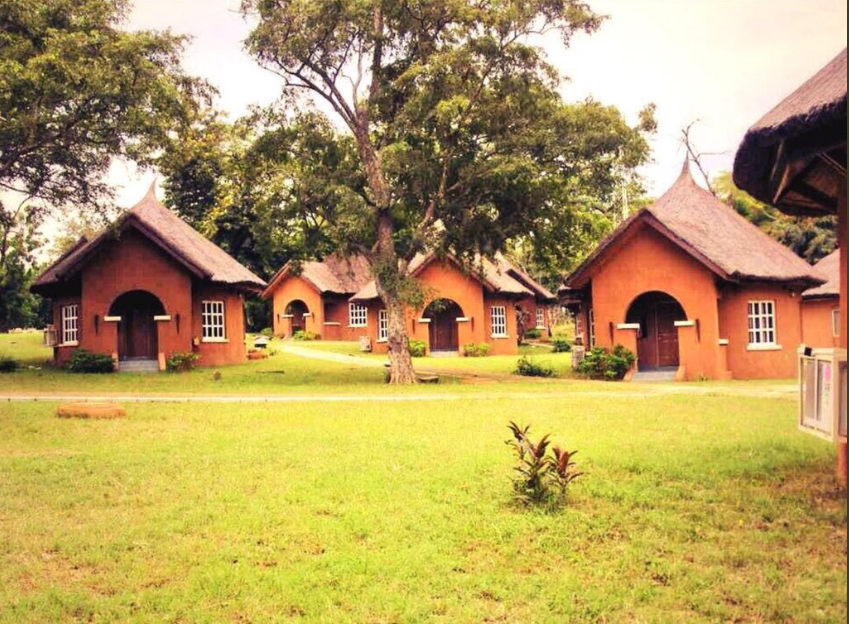 10 Reasons You Need To Visit Yankari Game Reserve - KAYNULI